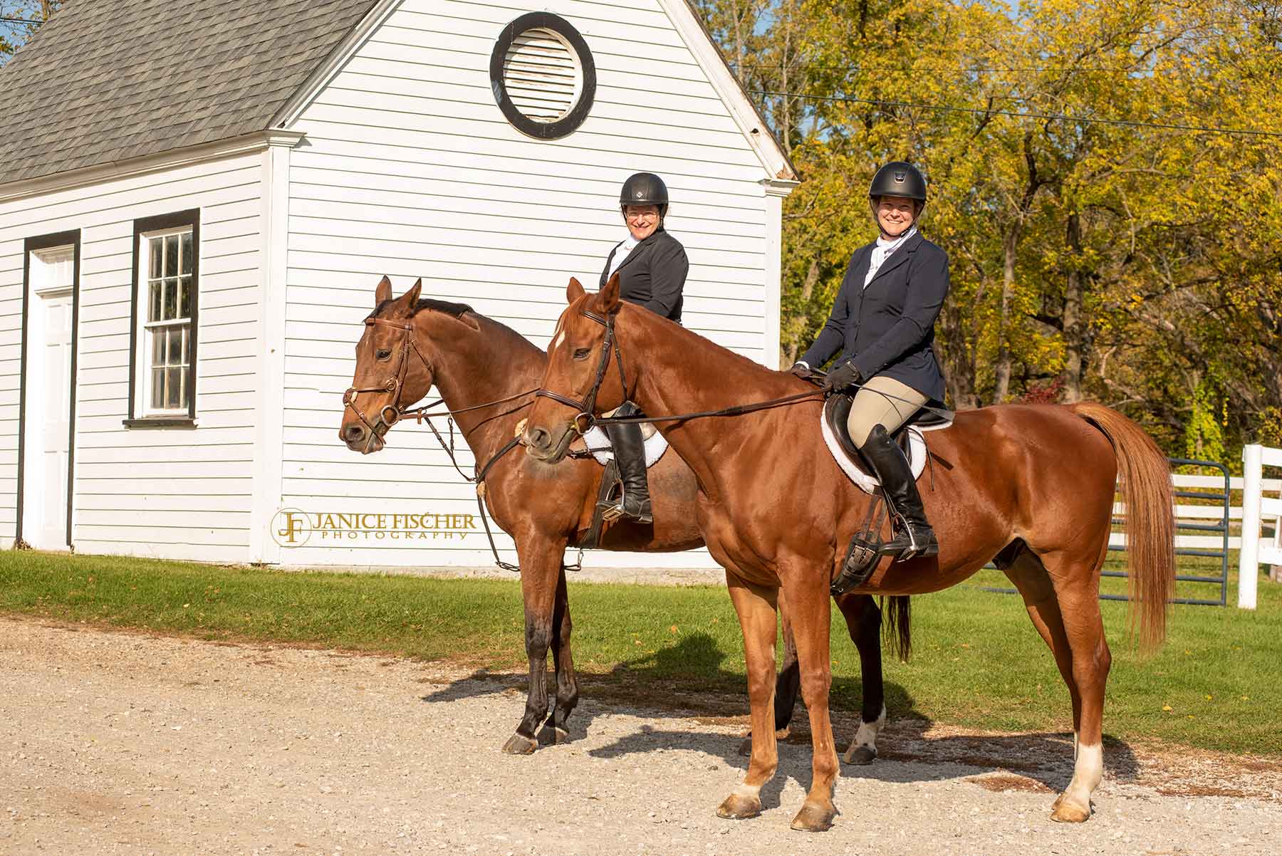 The Midwest Equestrian – Horse and Rider in the Midwest